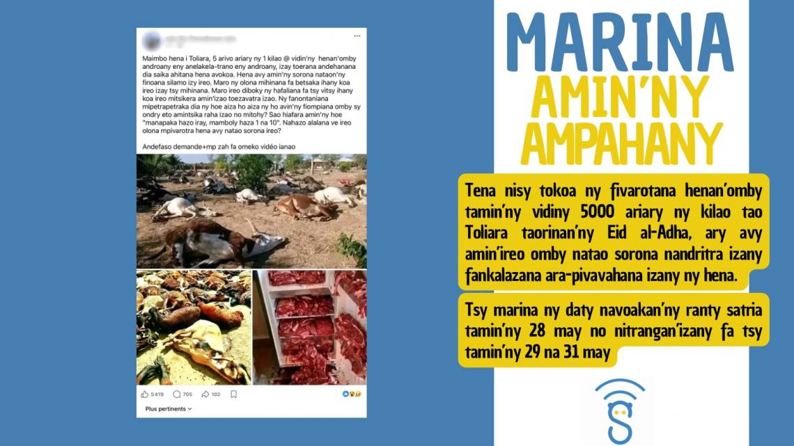 Tuléar : le kilo de viande de zébu est-il réellement tombé à 5 000 ...