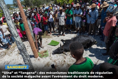 Dina et Tangena, deux piliers de la justice traditionnelle malagasy ...
